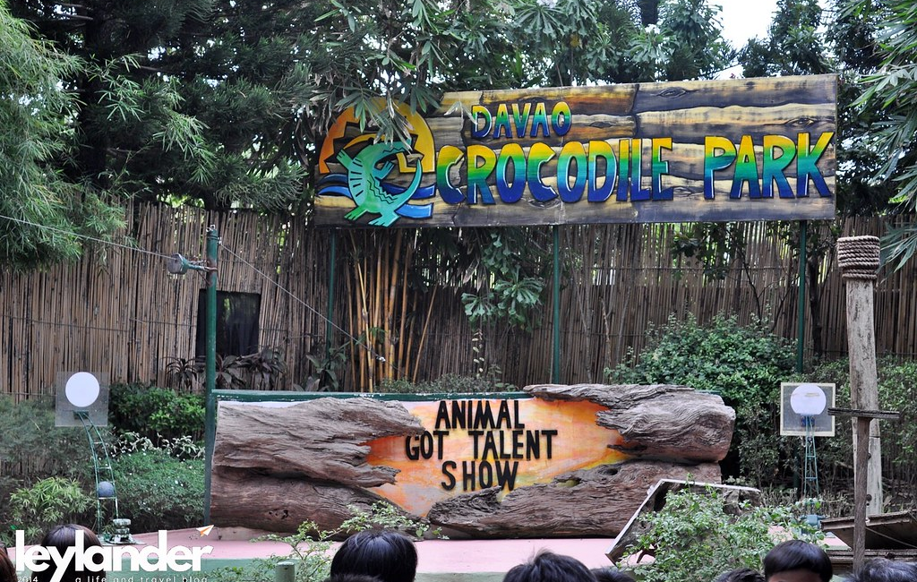 First Time at the Davao Crocodile Park - Leylander | A Life and Travel Blog